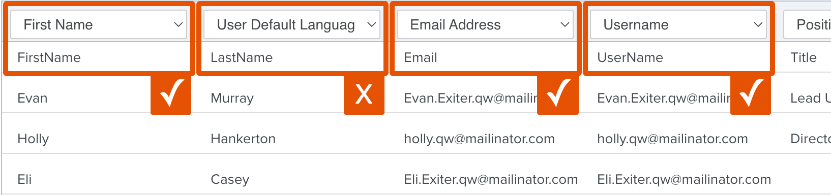 Bulk User Management