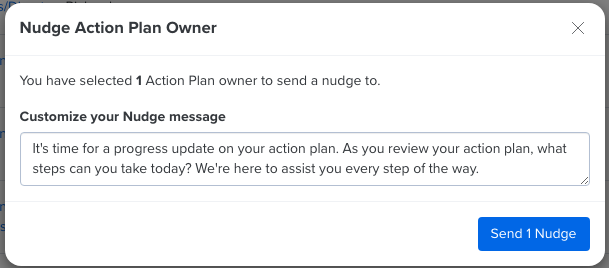 Nudge Action Plan Owners