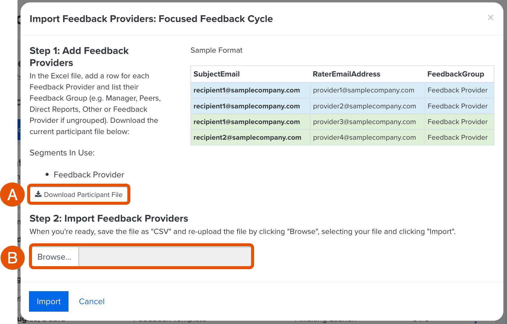 Launch a Focused Feedback Cycle