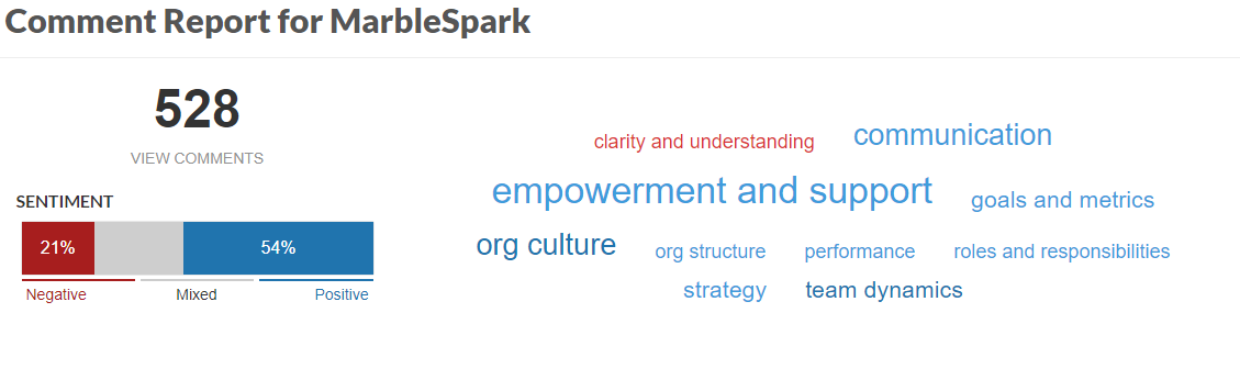 Understanding the Comments Report: Sentiments and Themes